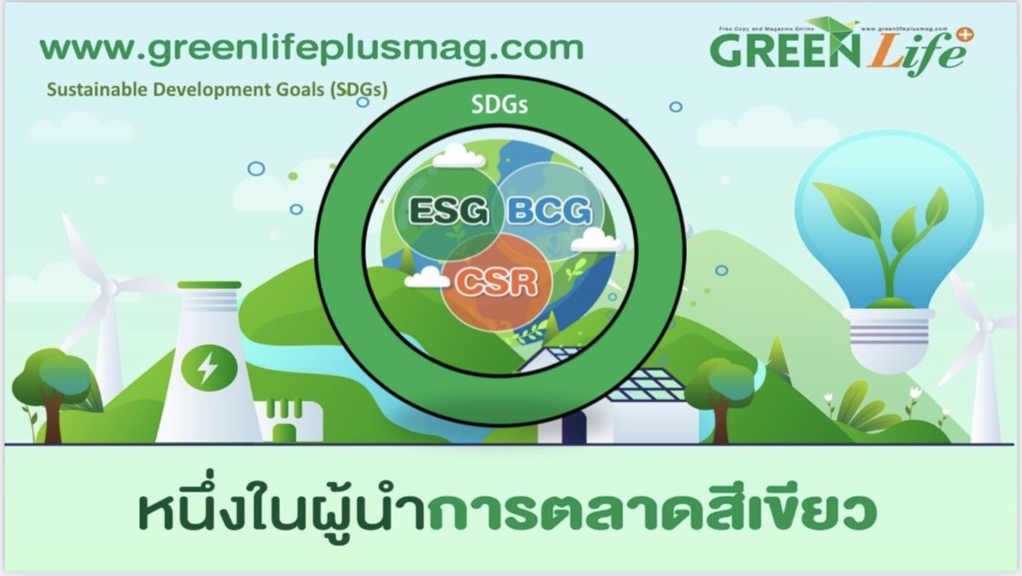 ESG, BCG, SDGs คืออะไร เกี่ยวข้องสอดคล้องกันอย่างไรและจำเป็นกับธุรกิจสู่ความยั่งยืนยังไง - Green ...